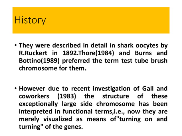 Lampbrush chromosome and their importance | PPTX | Genetics | Science