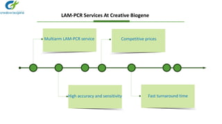 LAM PCR | PPTX