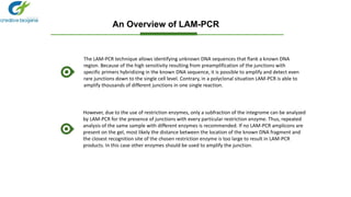 LAM PCR | PPTX