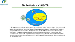 LAM PCR | PPTX