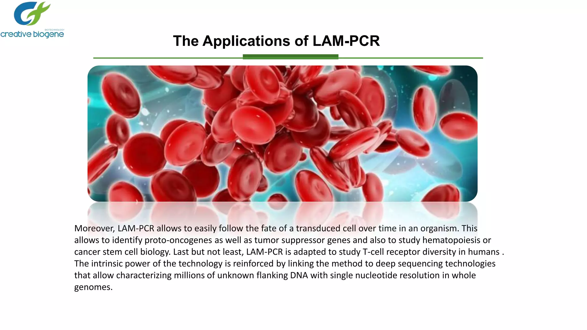 LAM PCR | PPTX