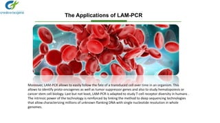 LAM PCR | PPT