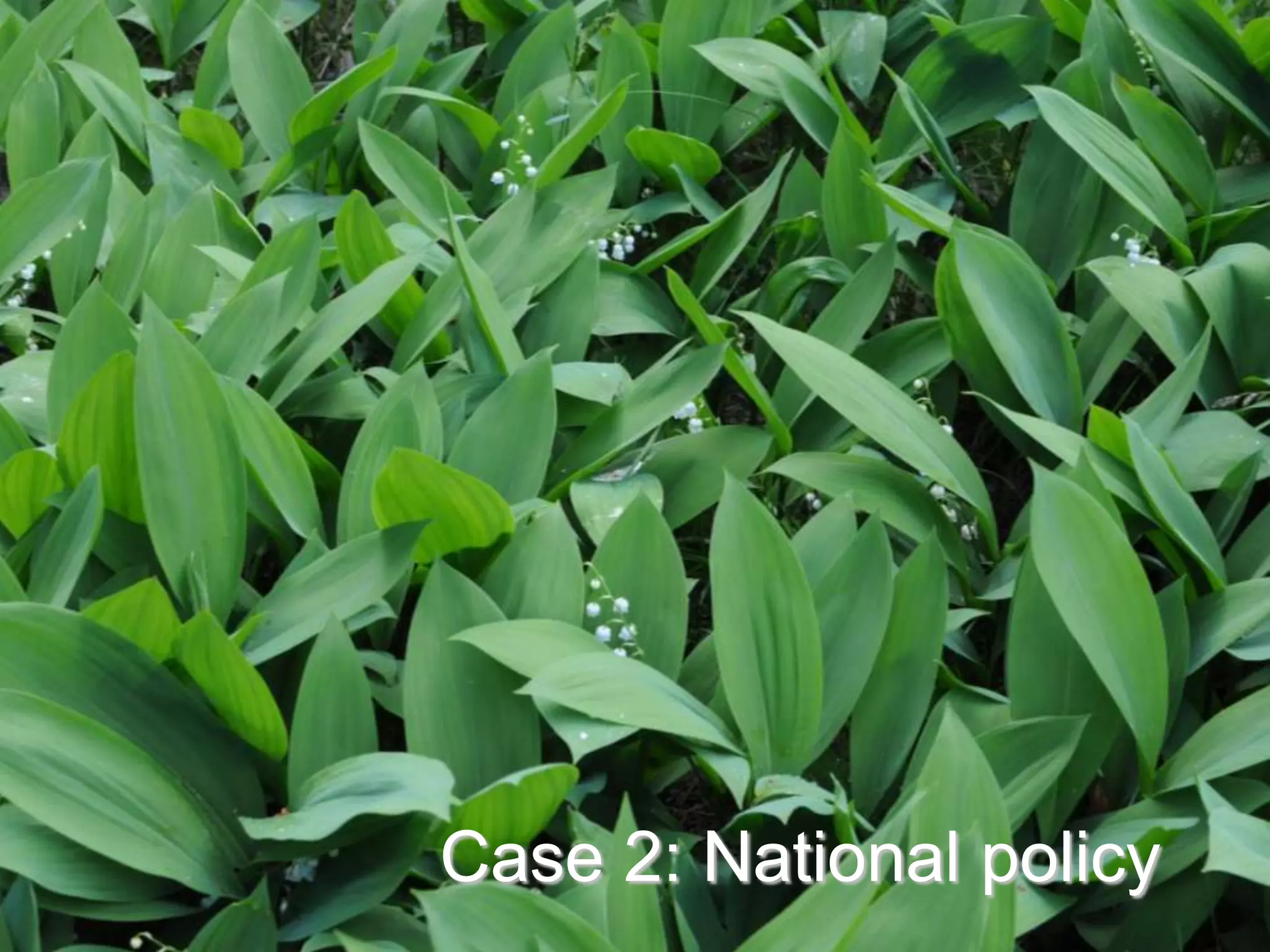 EUnetHTA Training course for Stakeholders - Examples of evidence ...