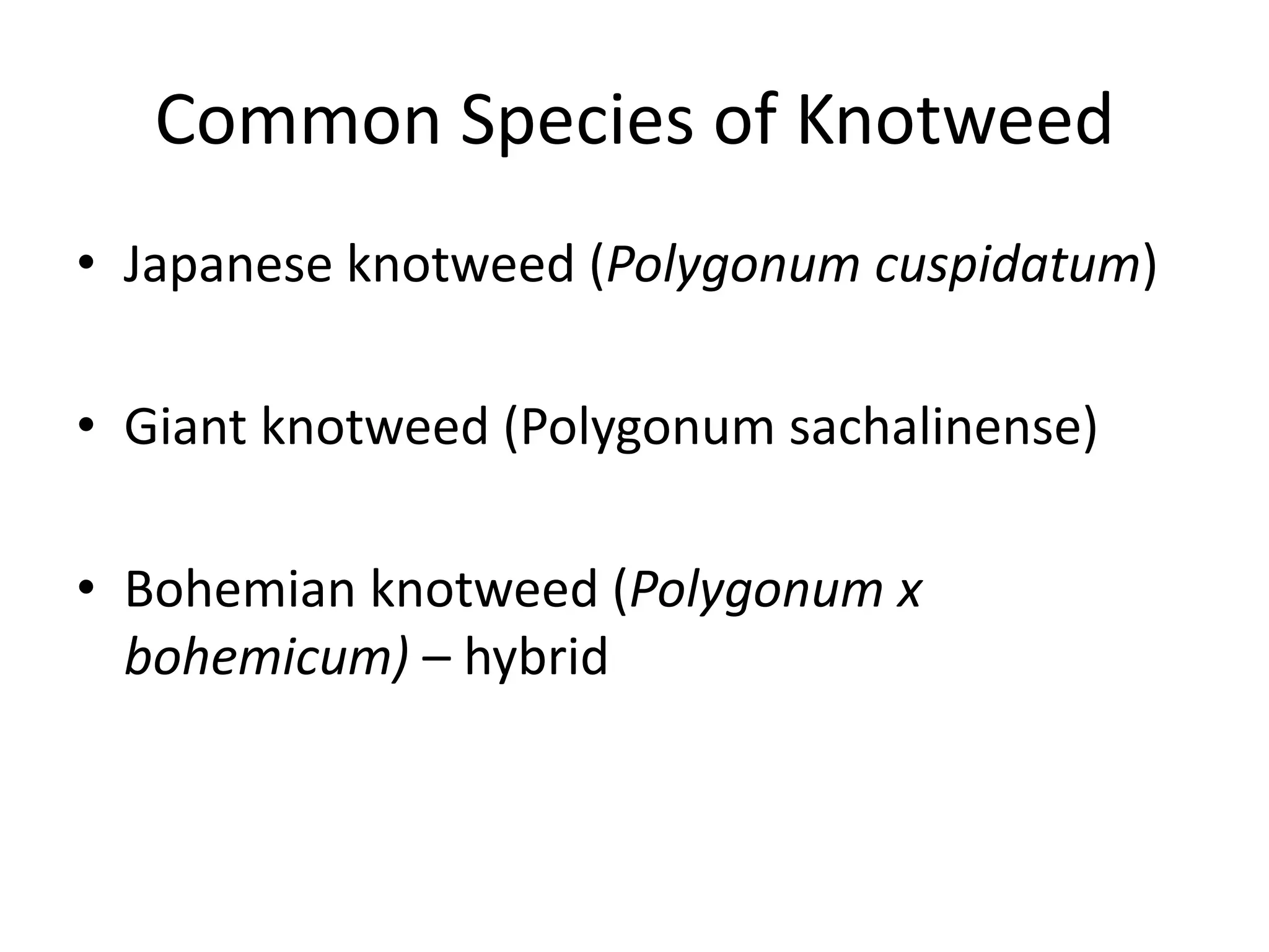 Injection of Herbicides into Rhizomes of Knotweeds and Other Invasive ...