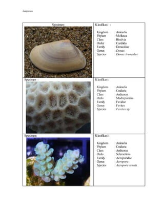 Lampiran internet (1) | PDF