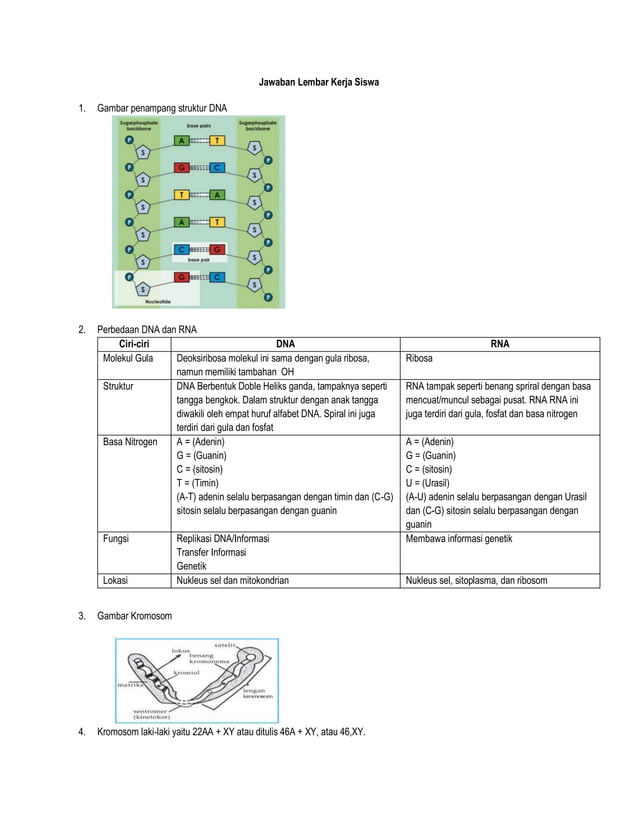 LAMPIRAN LKPD NAB.pdf