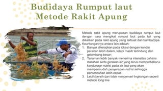 Budidaya Rumput Laut.pdf