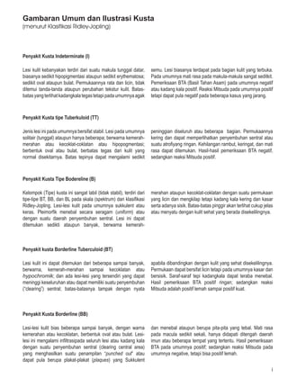 ATLAS KUSTA | PDF