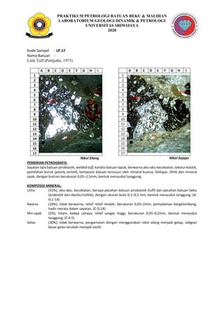 Analis Petrografi batuan sedimen, batuan beku, dan batuan Piroklastik ...