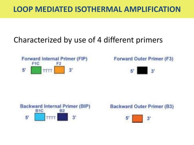 LAMP PCR.pptx by Dr. Chayanika Das, Ph.D, Veterinary Microbiology ...