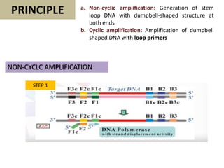 LAMP PCR.pptx by Dr. Chayanika Das, Ph.D, Veterinary Microbiology | PPTX