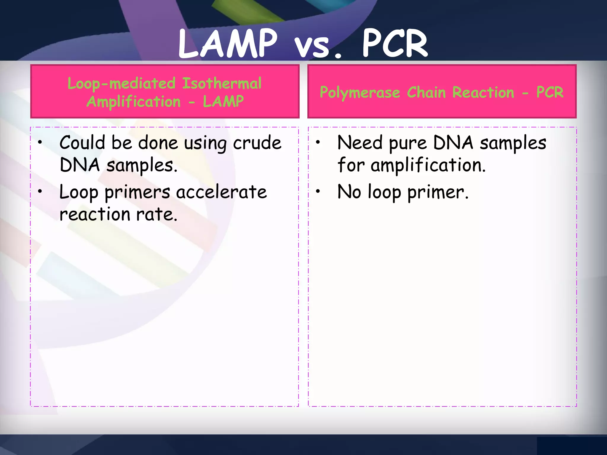 LAMP PCR | PPT