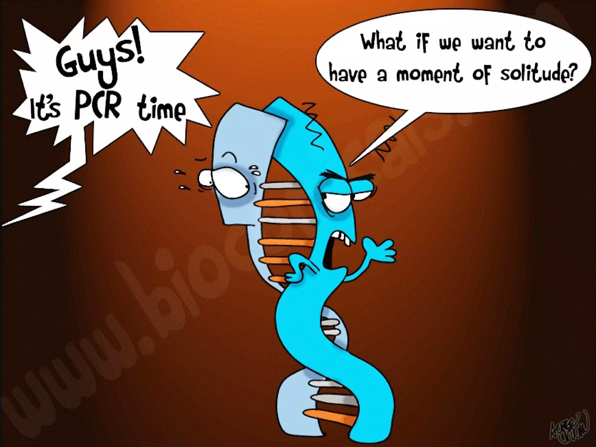 LAMP PCR | PPT