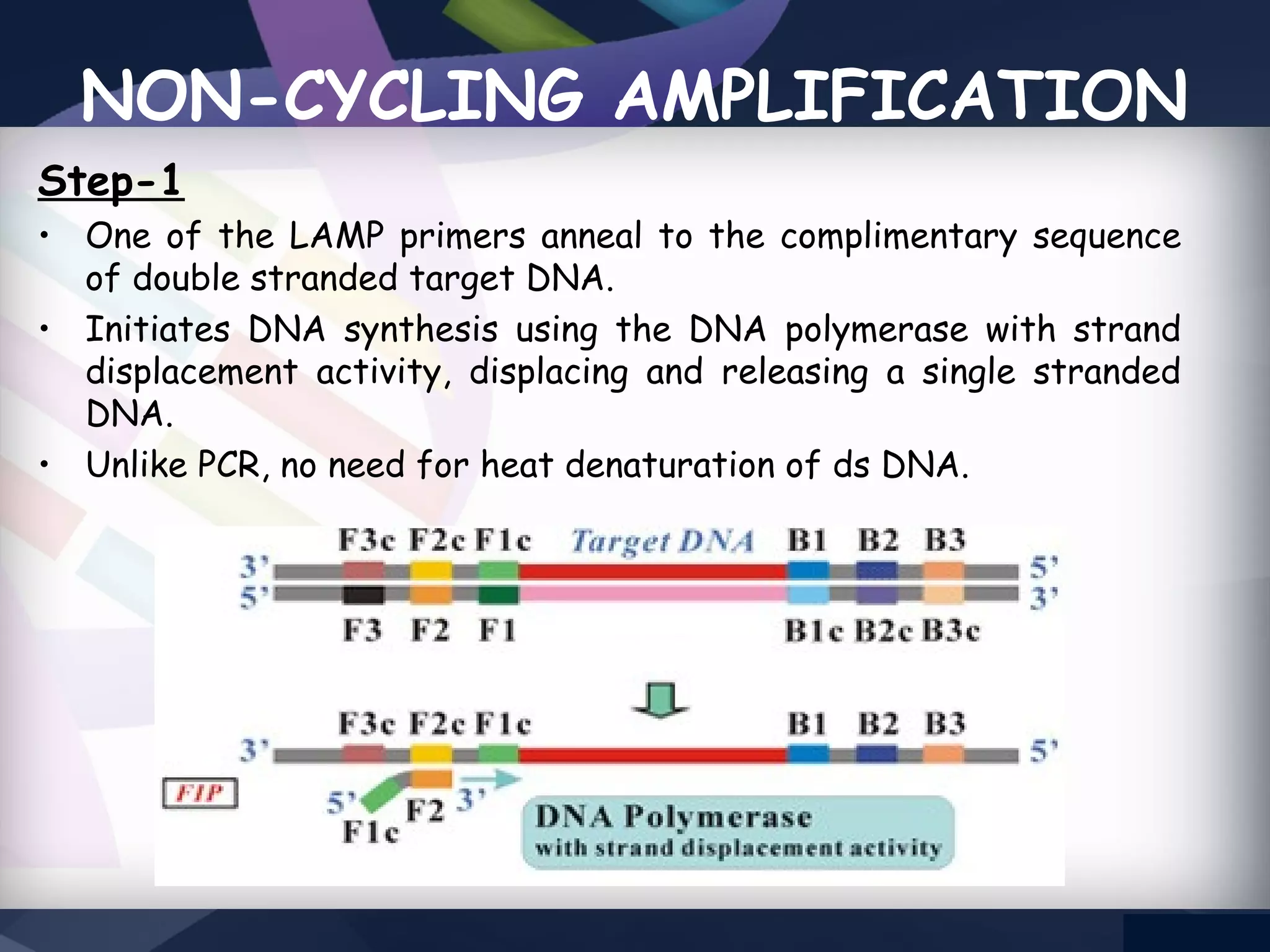 LAMP PCR | PPT