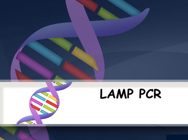 LAMP PCR | PPT | Genetics | Science