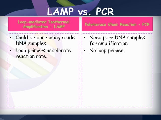 LAMP PCR | PPT | Genetics | Science