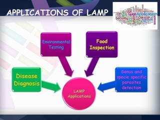 LAMP PCR | PPT