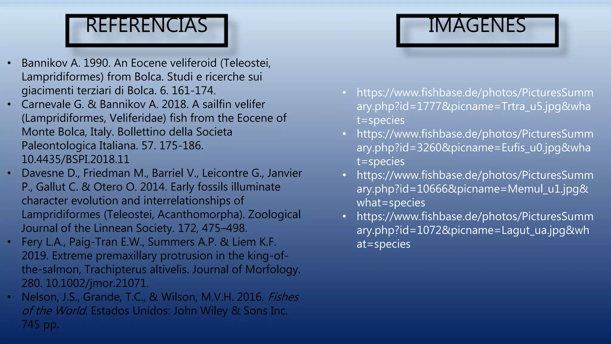 Peces: Orden Lampriformes (Peces Luna, Ophas) | PPTX | Fish and ...