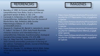 Peces: Orden Lampriformes (Peces Luna, Ophas) | PPTX