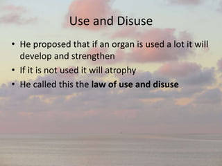 Lamracks hypothesis | PPTX