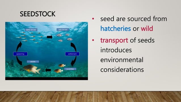LIFE CYCLE ASSESSMENT AND AQUACULTURE.pptx