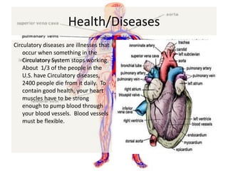 Circulatory System | PPTX