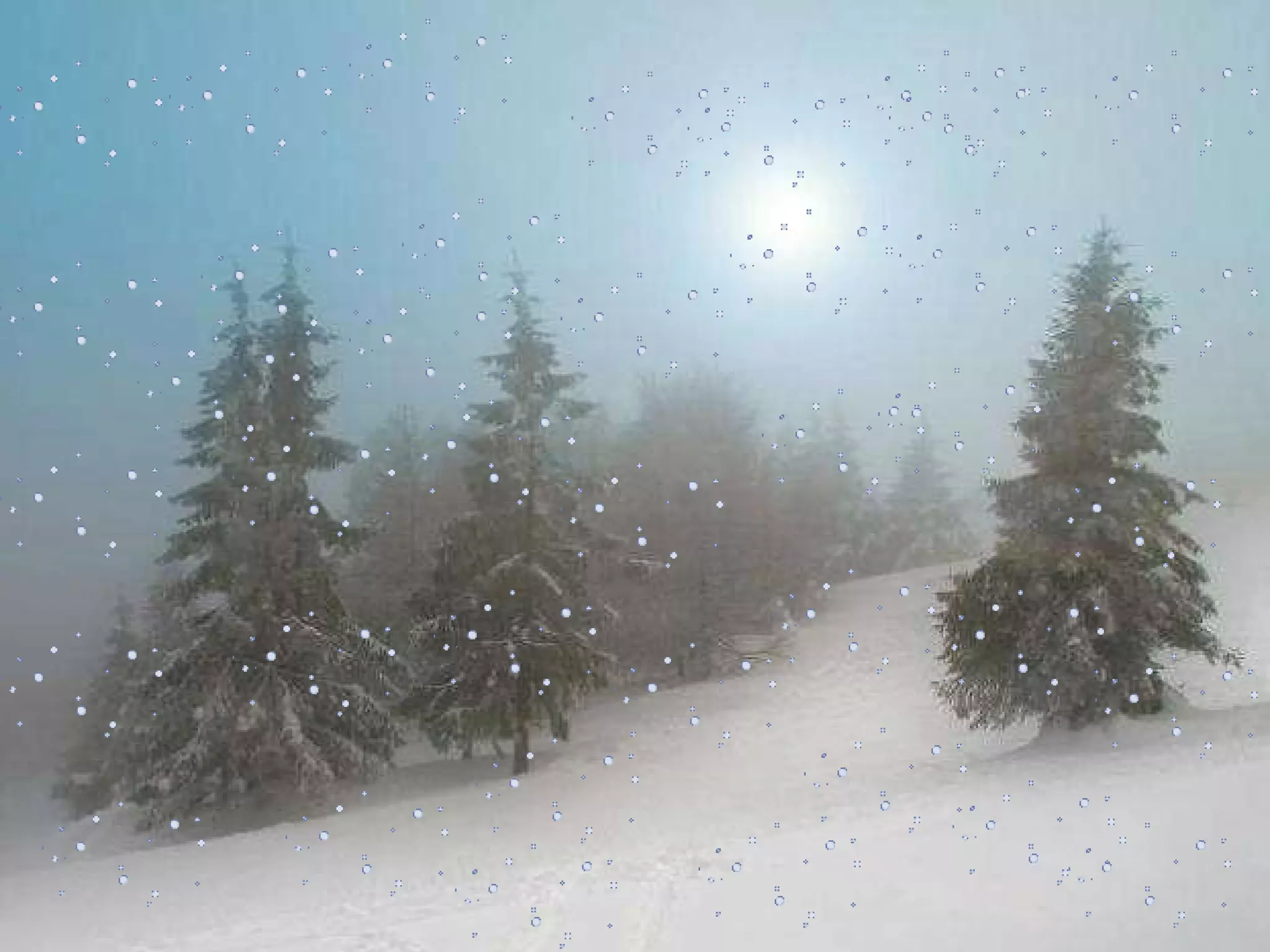 La multi ani 2011 | PPS