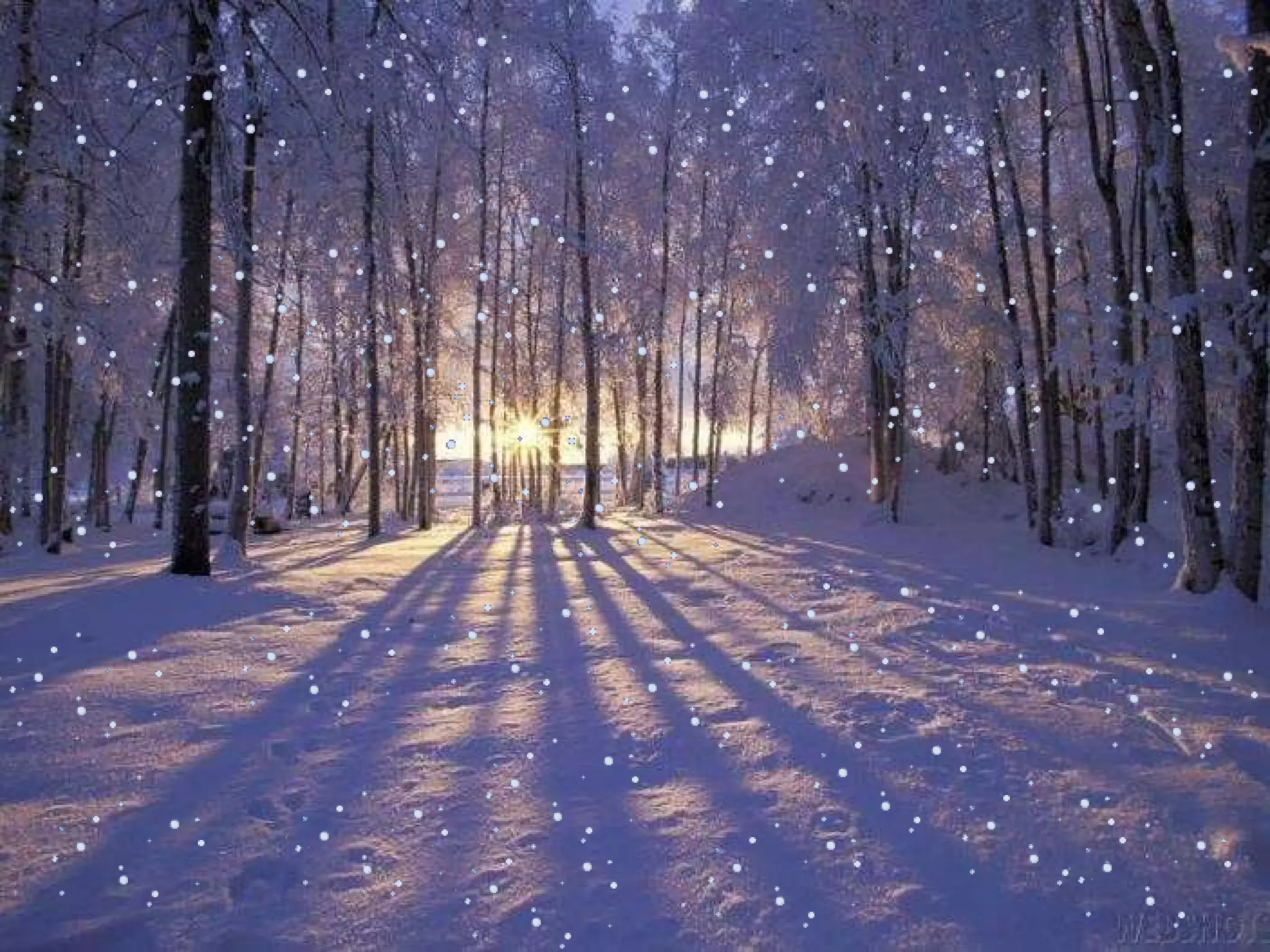 La multi ani 2011 | PPS