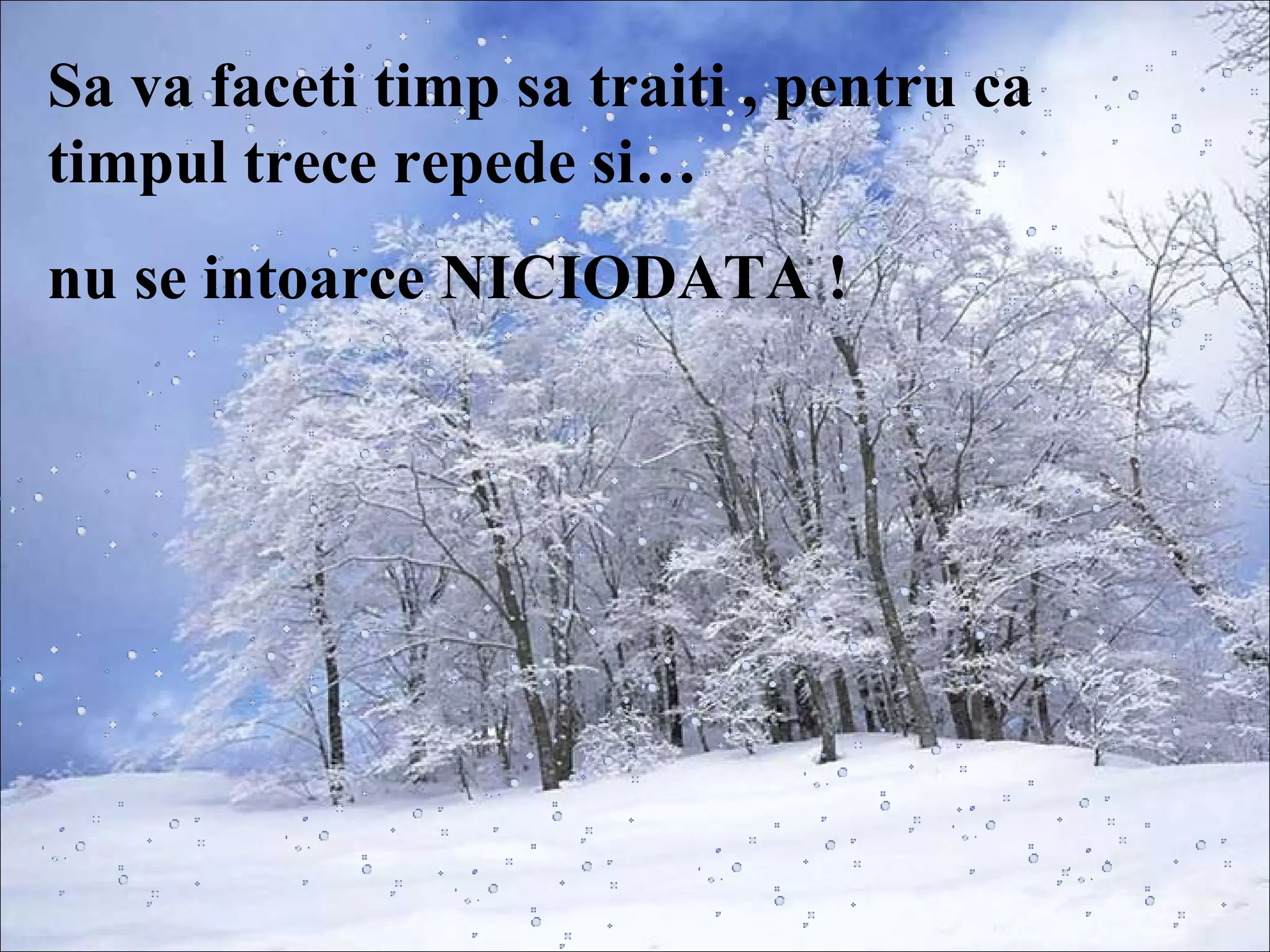 La multi ani 2011 | PPS