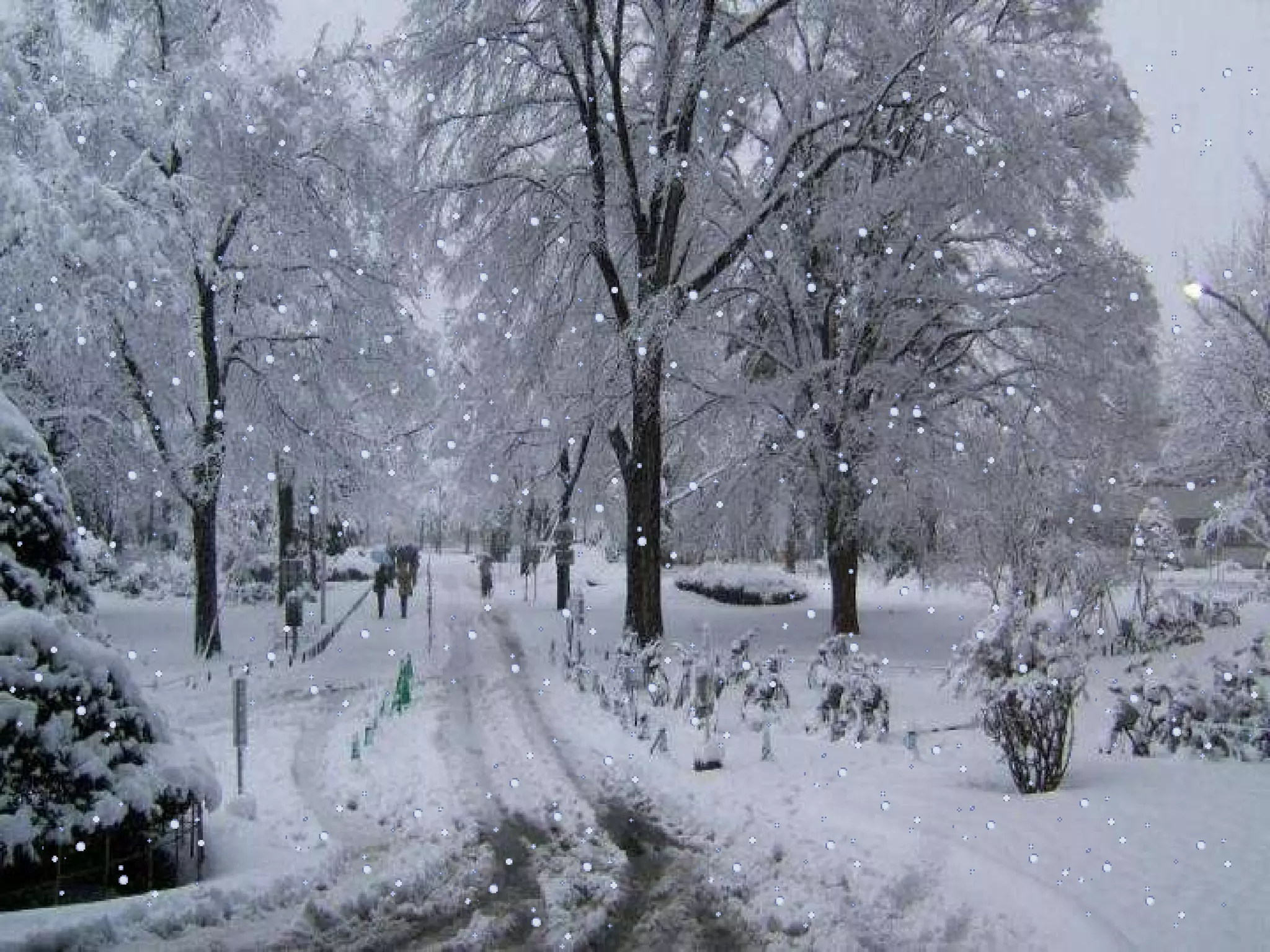 La multi ani 2011 | PPS