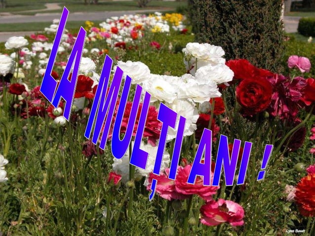 La multi ani, mamico! | PPT