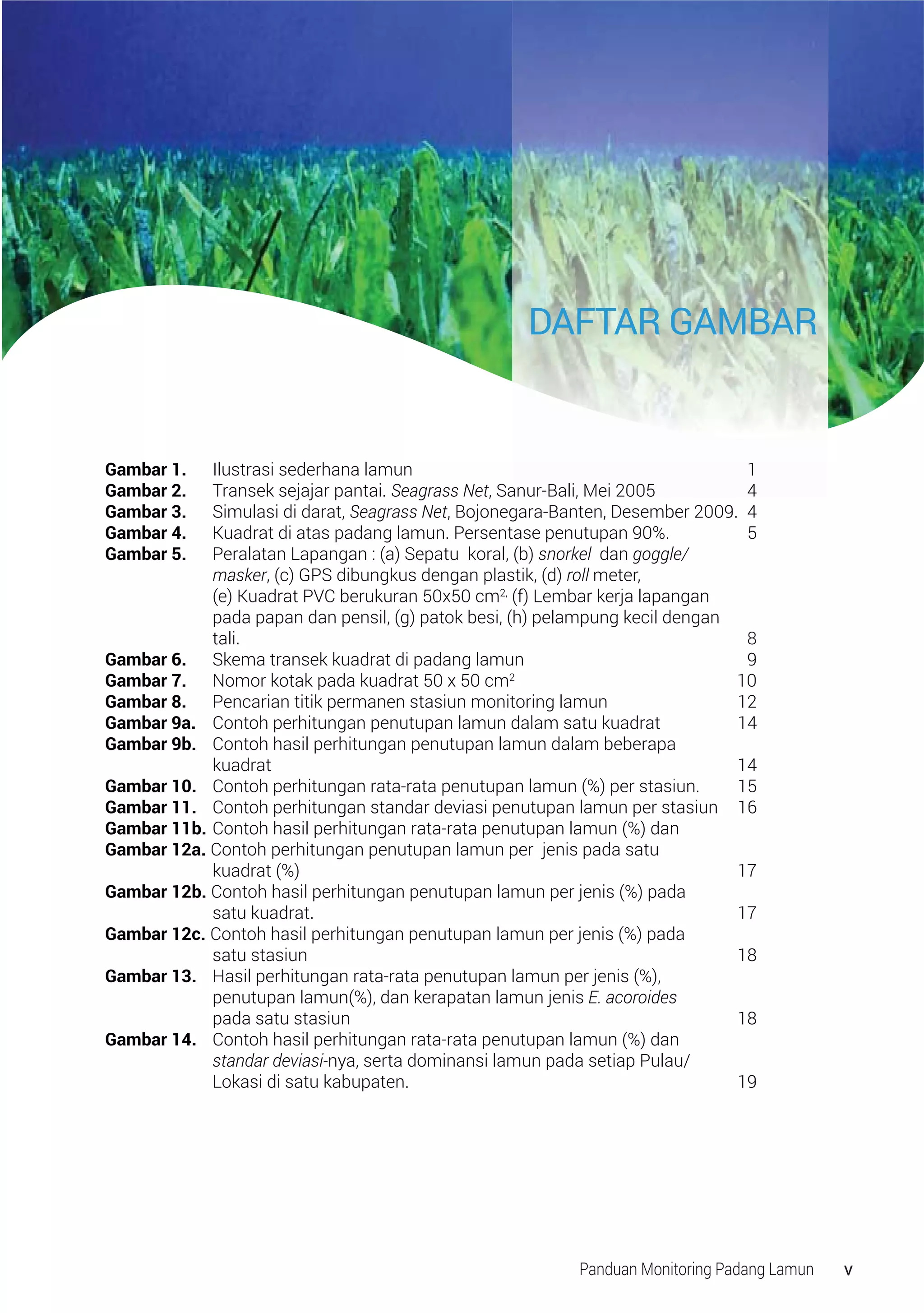 PANDUAN MONITORING PADANG LAMUN | PDF