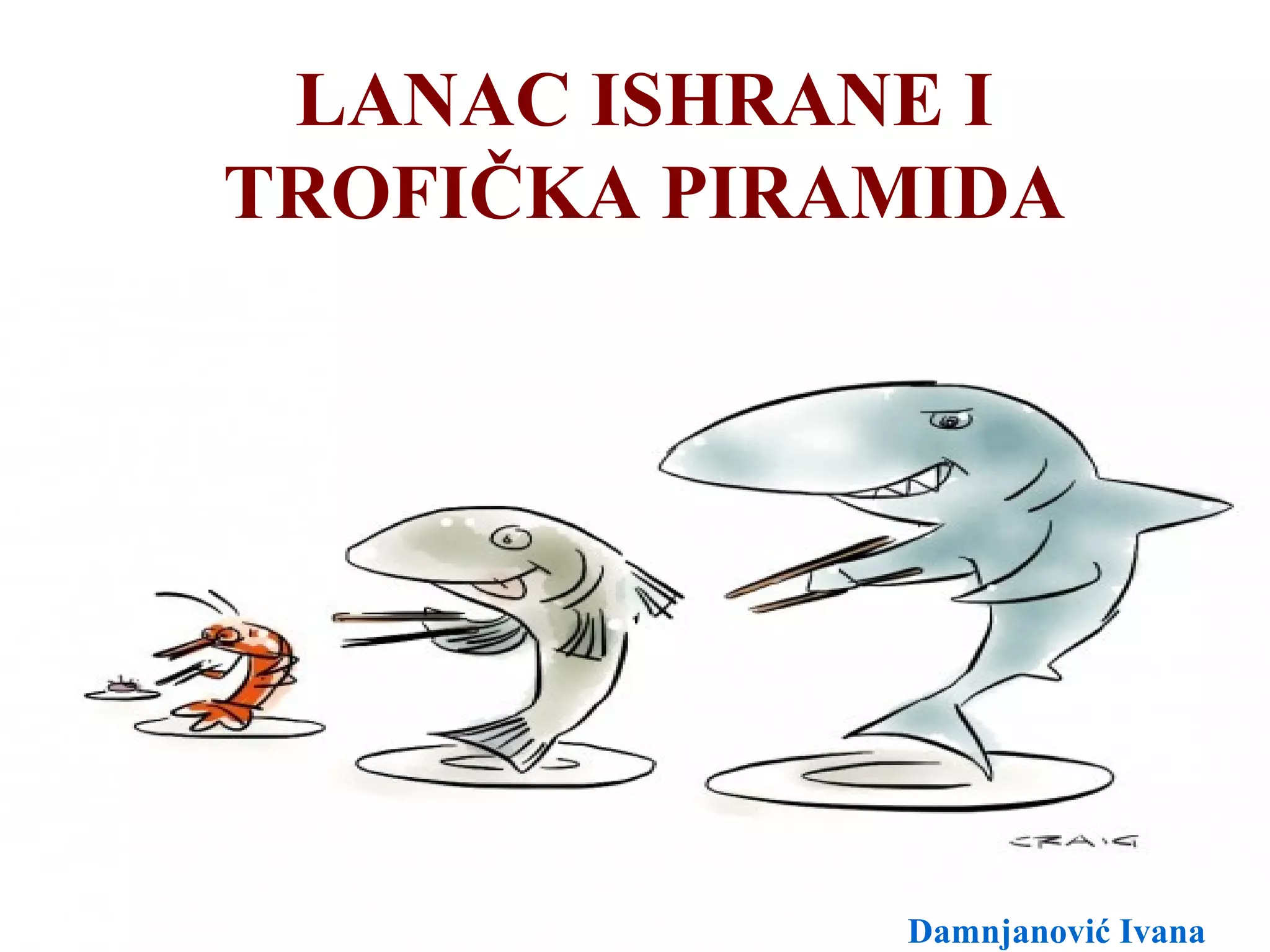 Lanac ishrane i trofička piramida | PPT