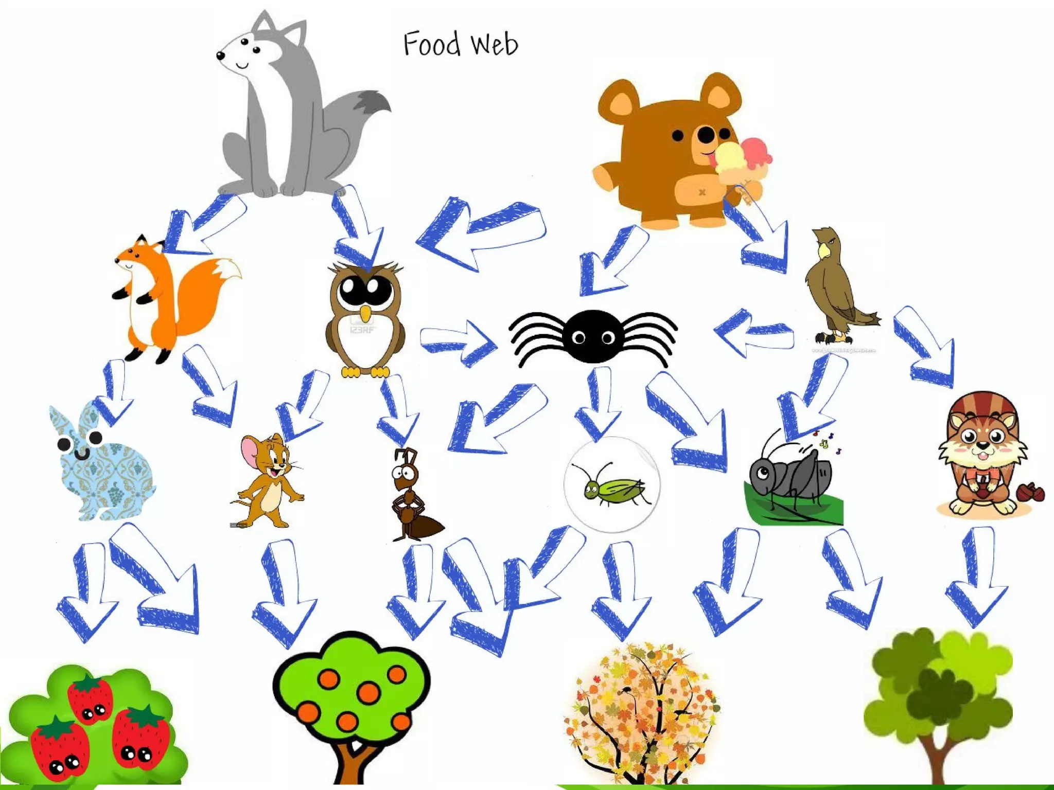 Lanac ishrane i trofička piramida | PPT
