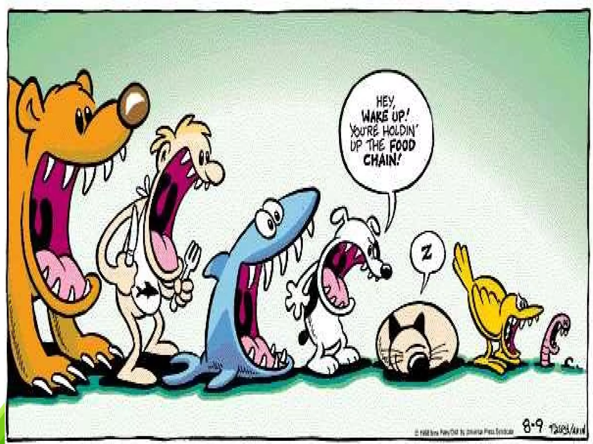 Lanac ishrane i trofička piramida | PPT