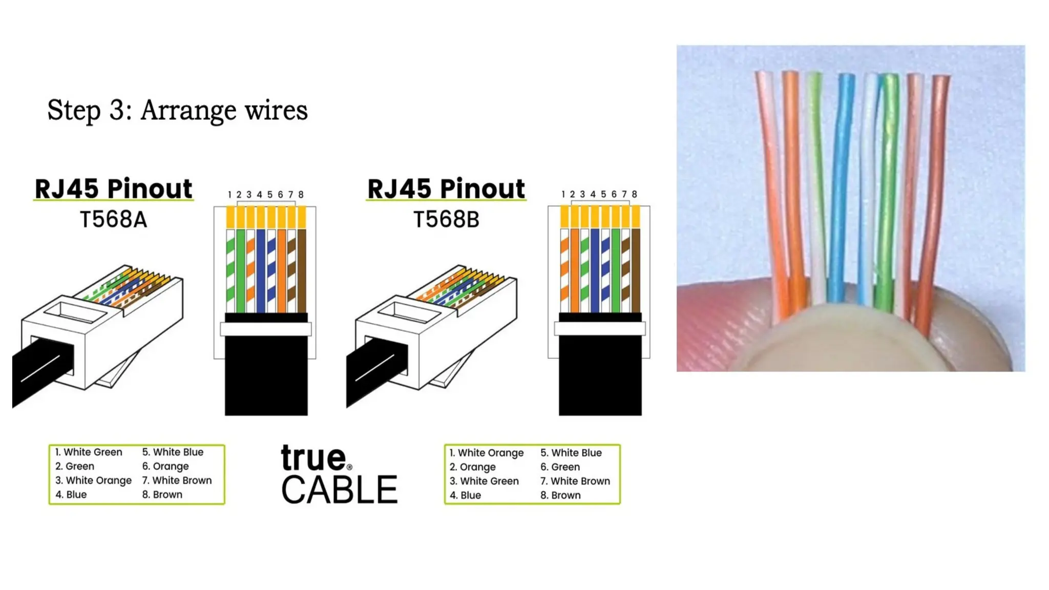 lan cabling, networking basicsdsdasdasdsaewewe | PPTX