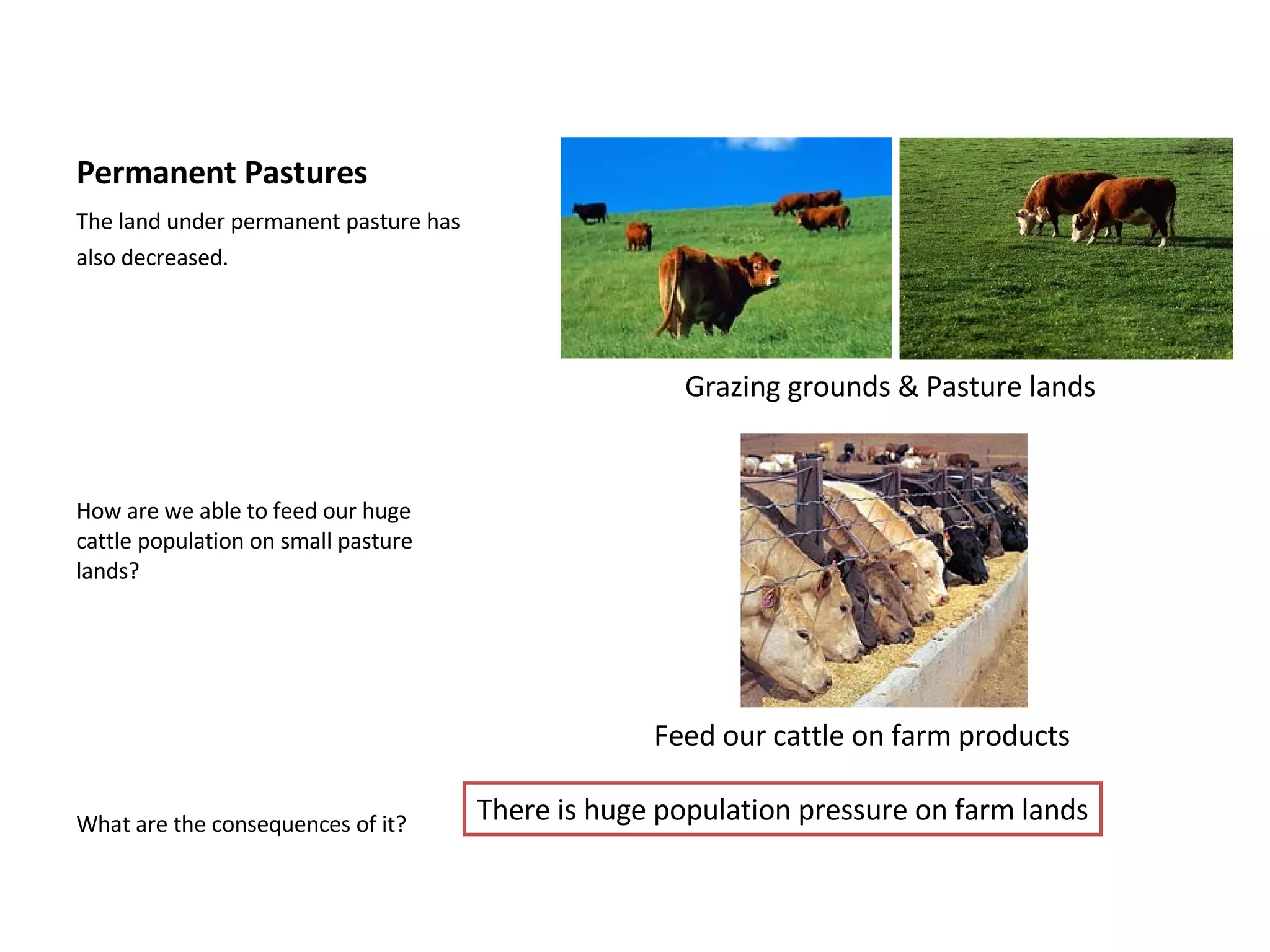 Land Resources | PPT