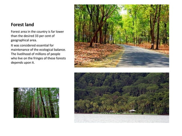 Land Resources | PPT | Agriculture | Industries