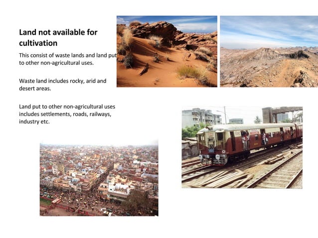 Land Resources | PPT | Agriculture | Industries