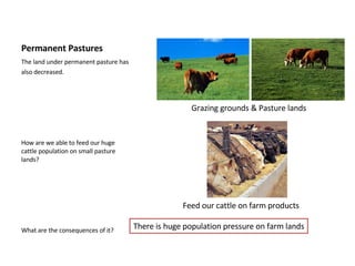 Land Resources | PPT | Agriculture | Industries