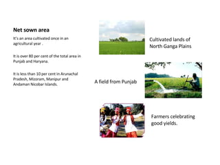 Land Resources | PPT | Agriculture | Industries