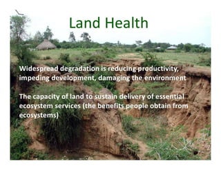 land-water ecosystem | PPT