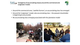 Land and agricultural commercialisation zambia | PPTX | Agriculture ...