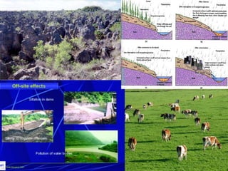 Land and soil cbse class 8 geography | PPTX