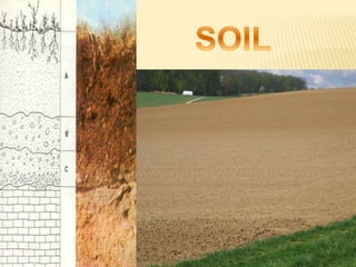 Land and soil cbse class 8 geography | PPTX