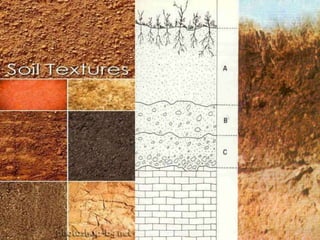 Land and soil cbse class 8 geography | PPTX