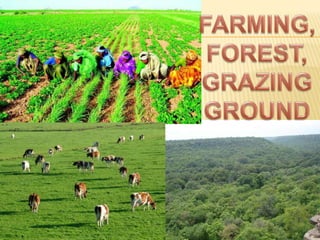 Land and soil cbse class 8 geography | PPTX