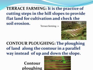 Land and soil | PPTX