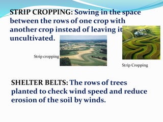 Land and soil | PPTX