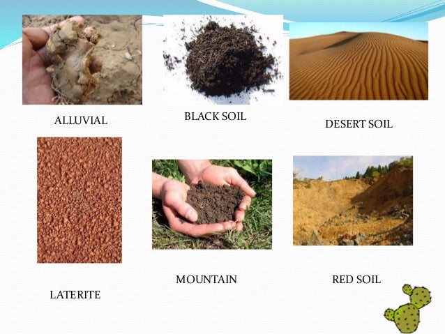 Land and soil